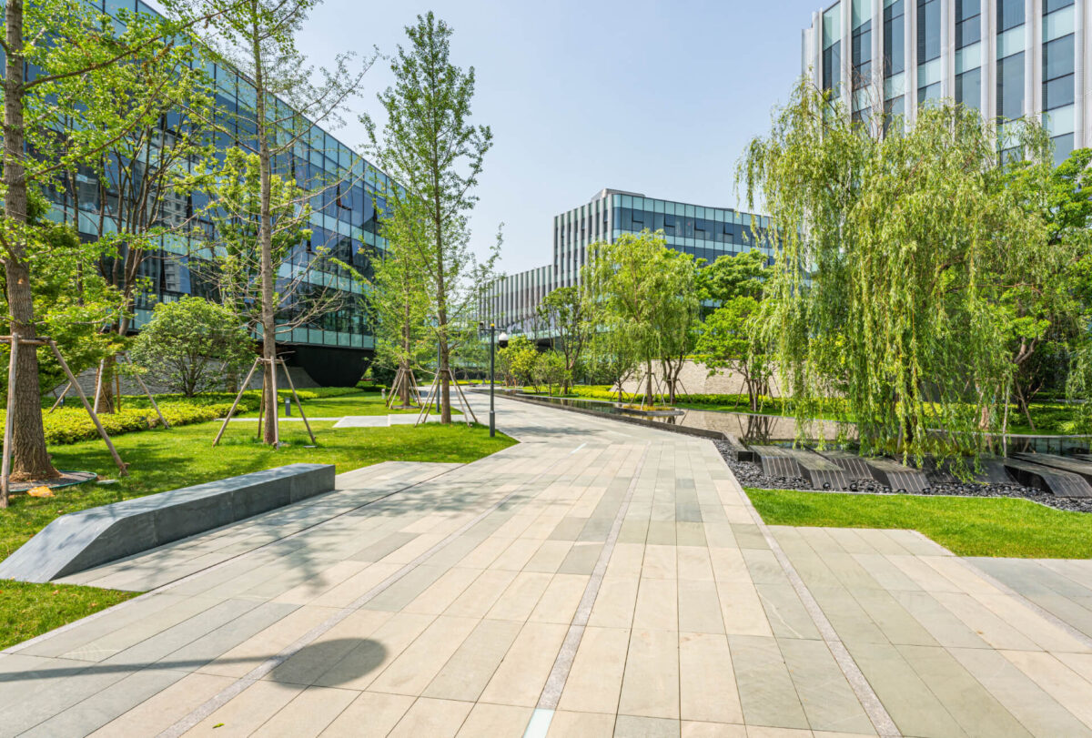 Alba Trees | UK’s Largest Producer of Cell-Grown Trees